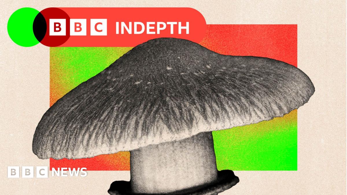 Should the NHS really use magic mushrooms to treat mental health ...